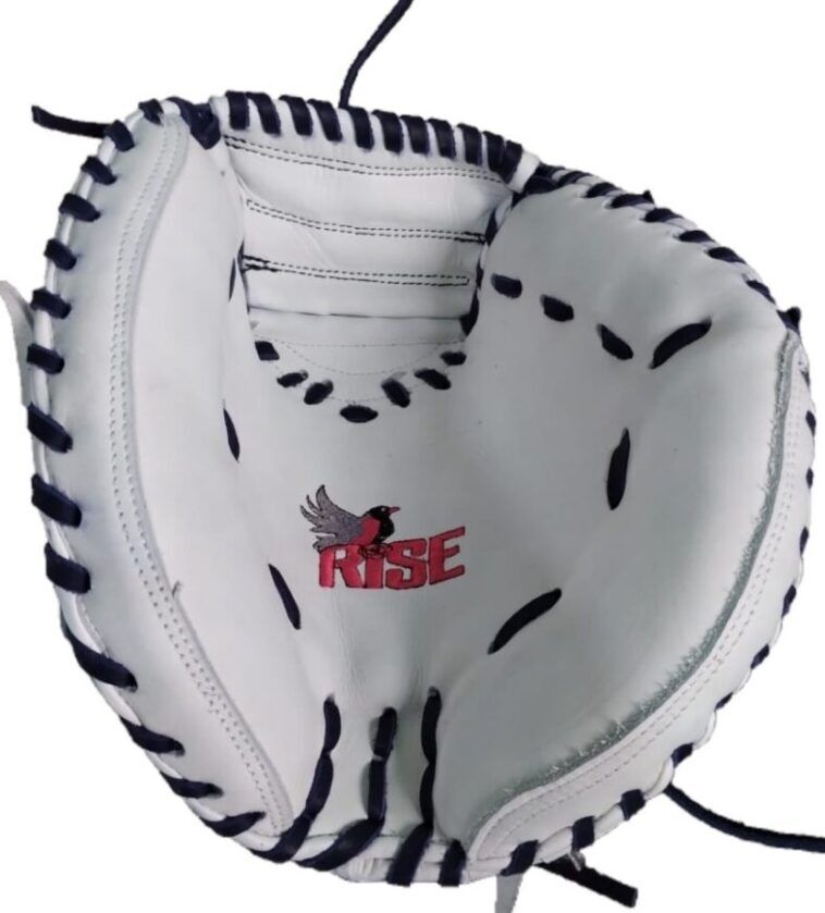 Catcher’s Mitt-Design your own!
